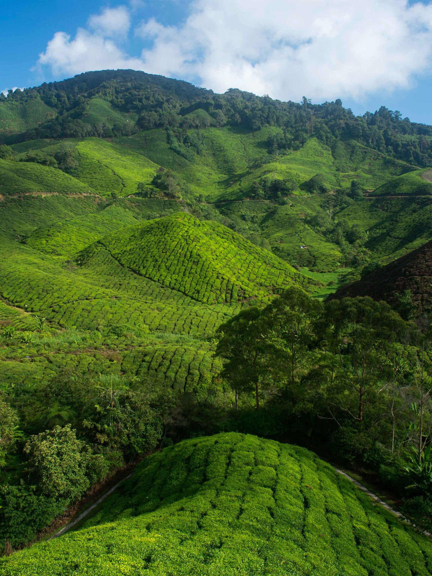 Health Insurance in Poland | APRIL International