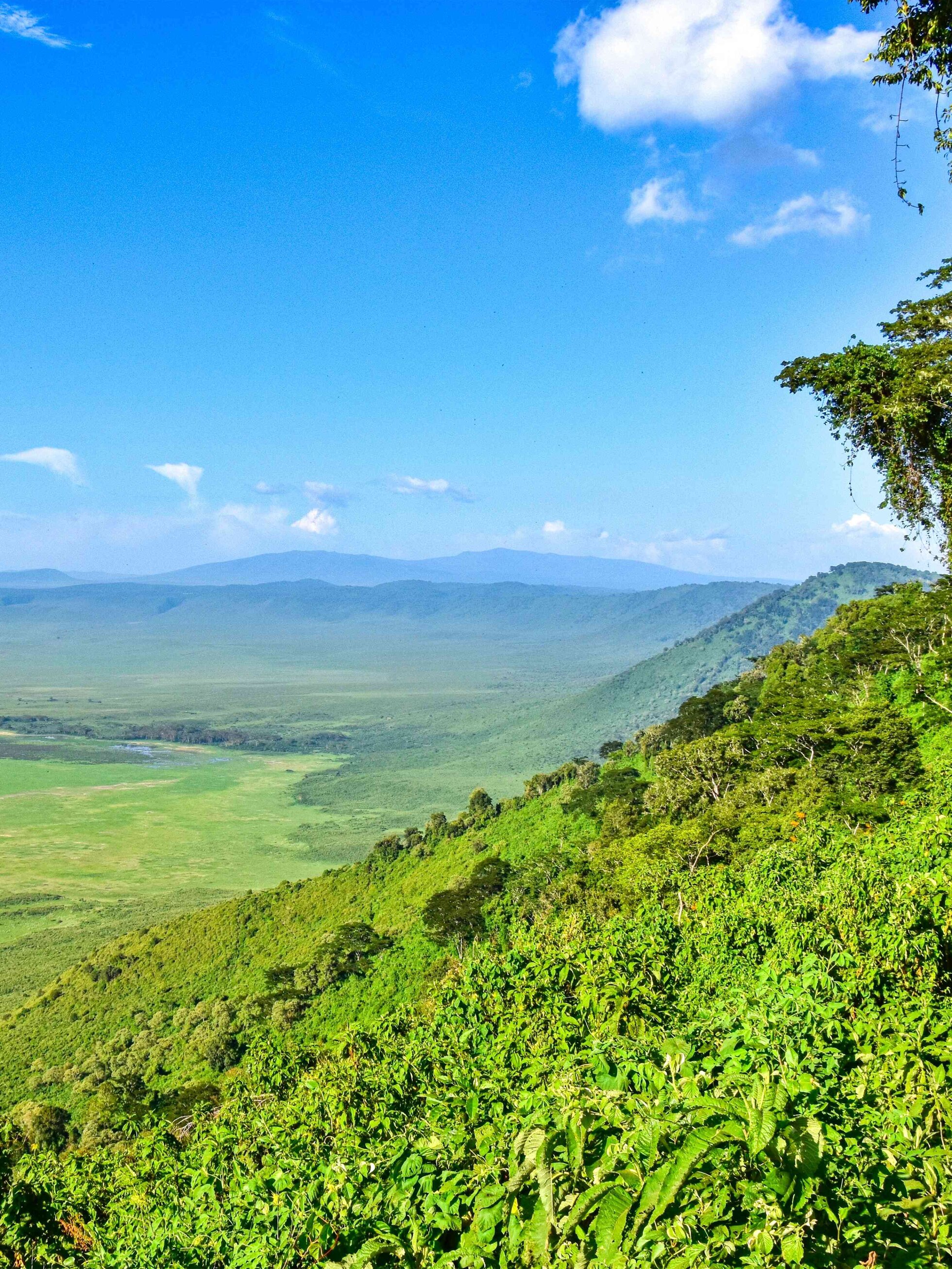 Health Insurance in Poland | APRIL International