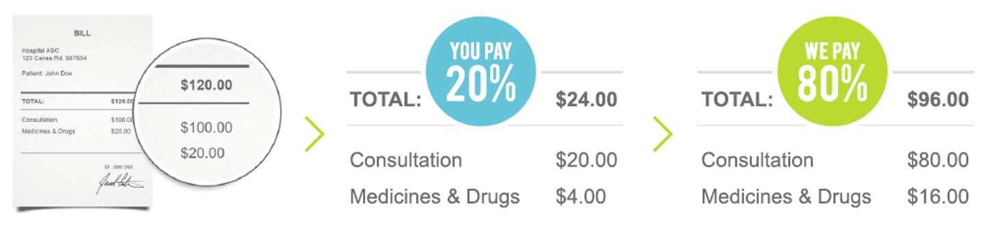 Understanding Co-insurance: What it is and how it works? | APRIL ...