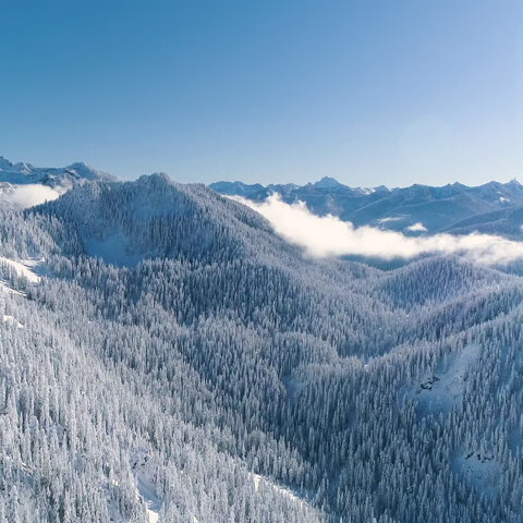 APRIL : l'assurance en plus facile